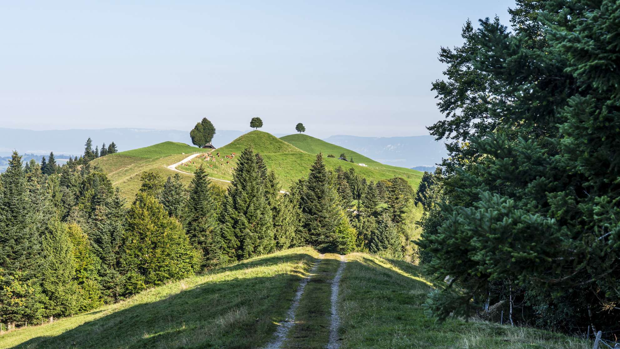Rund um den Napf wandern: 3 Wanderrouten mit Aussicht - Offizielle ...