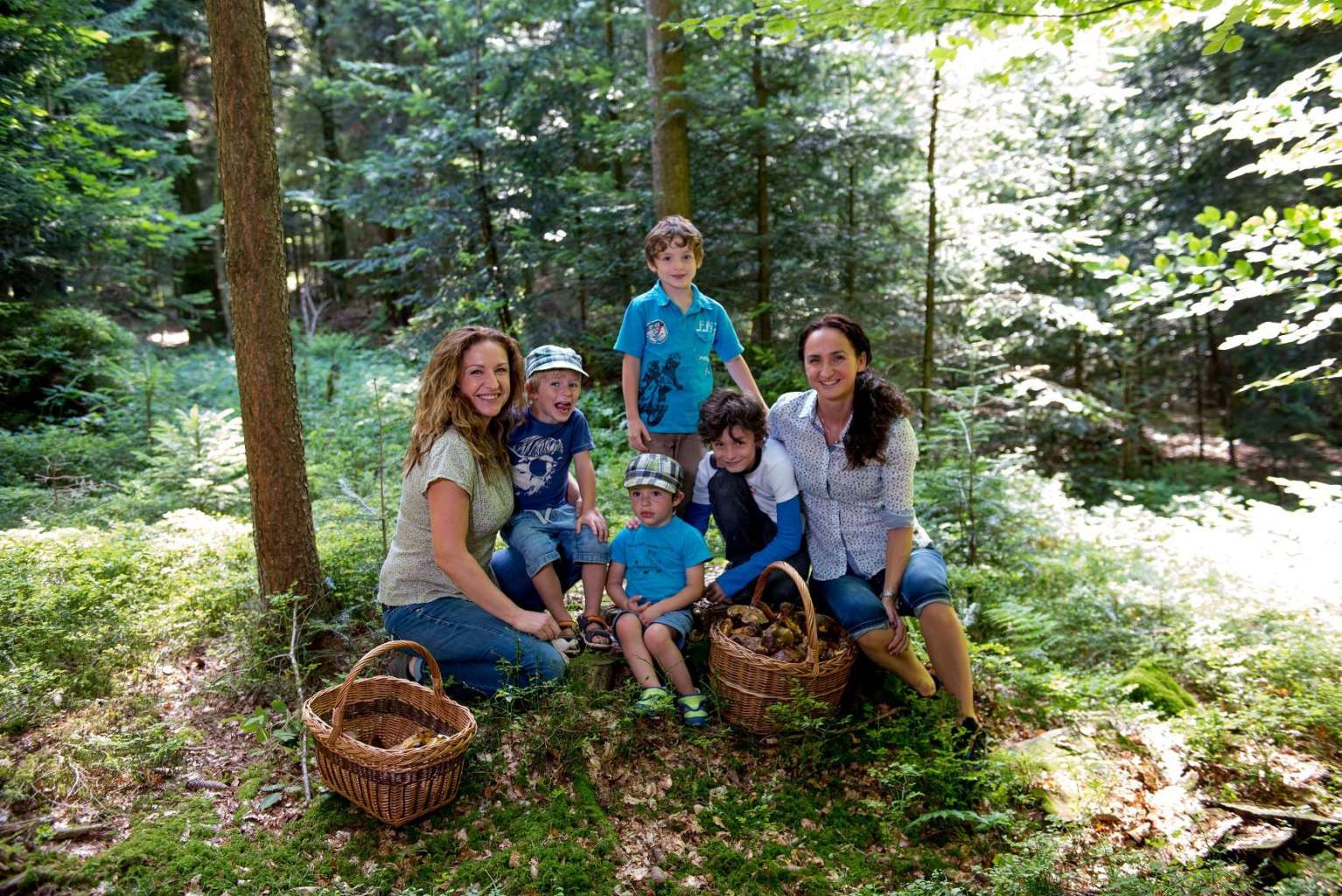 Emmentaler Pilze - Offizielle Webseite Region Emmental